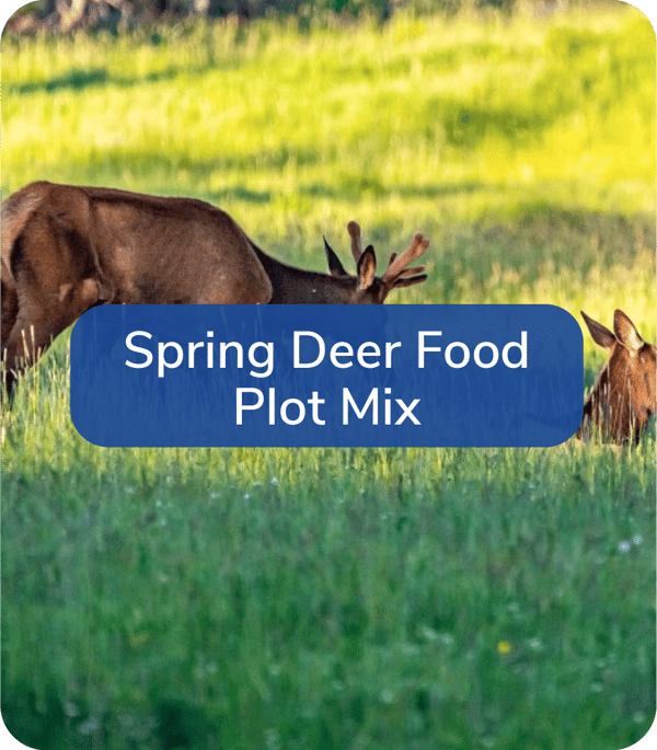 Food Plot Mix Questions? We’ve Got The Answers!