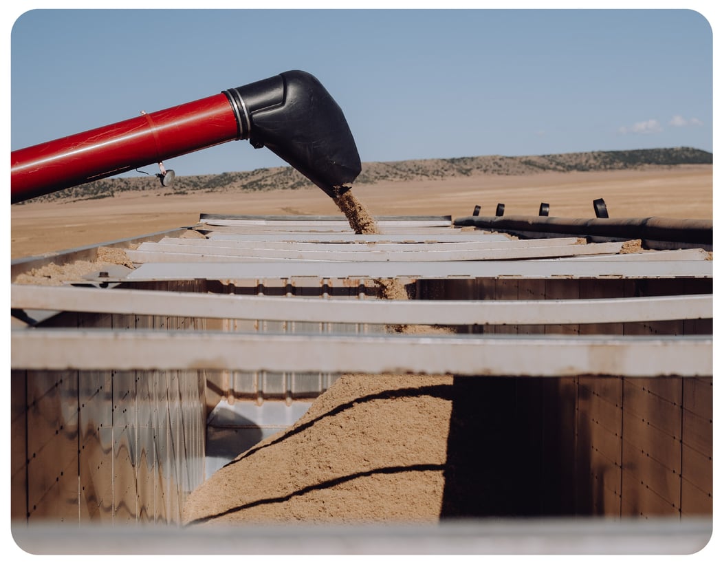 Set Your Ag Operation Up for a Successful Year | Curtis & Curtis Seed Blog